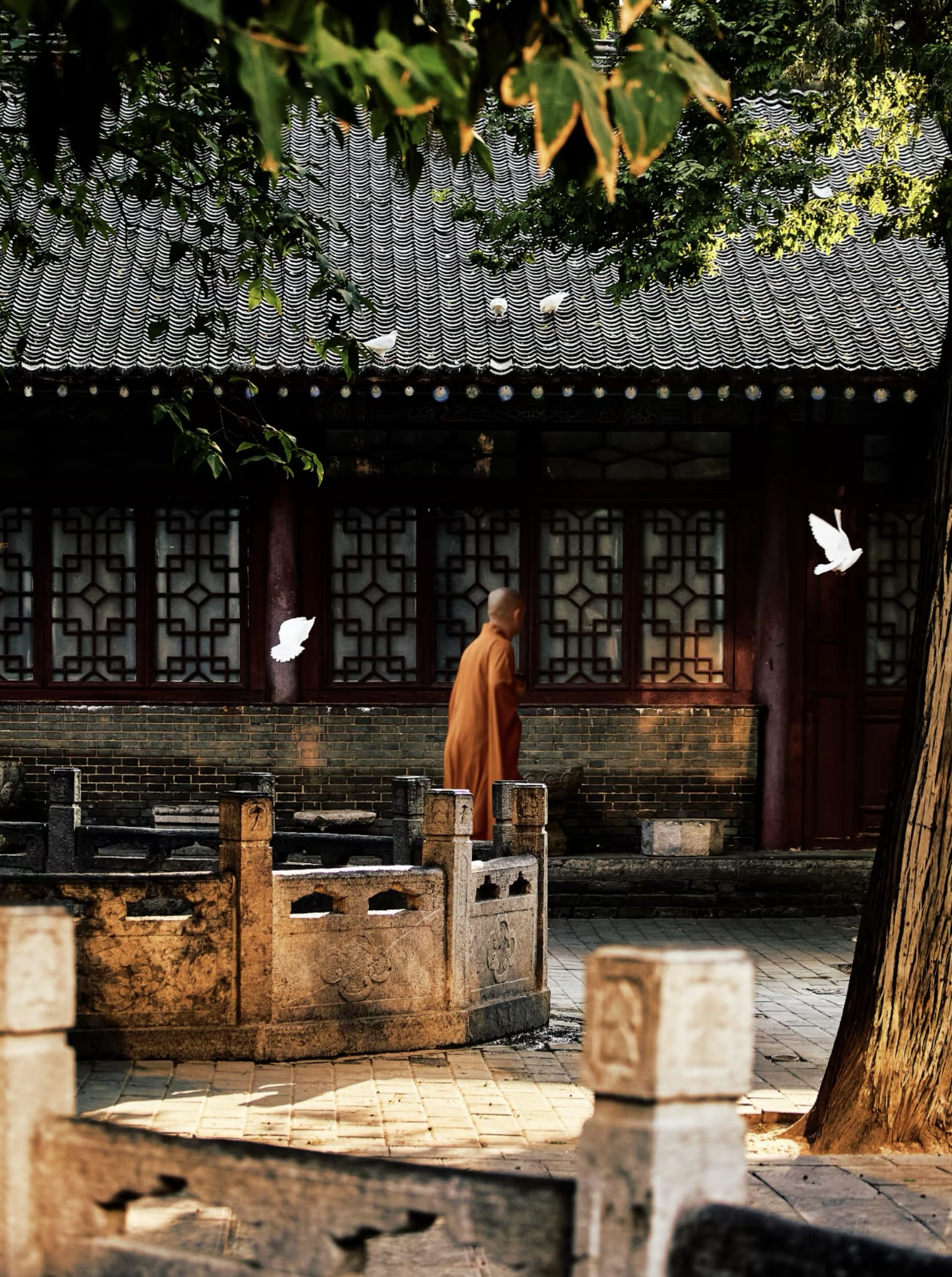 Discovering Da Xing Shan Temple: A Gem of Xi'an's Spiritual Heritage