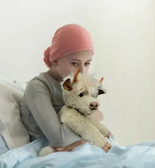 Outfany™ Highland Cow Plush Toy – Tegooe