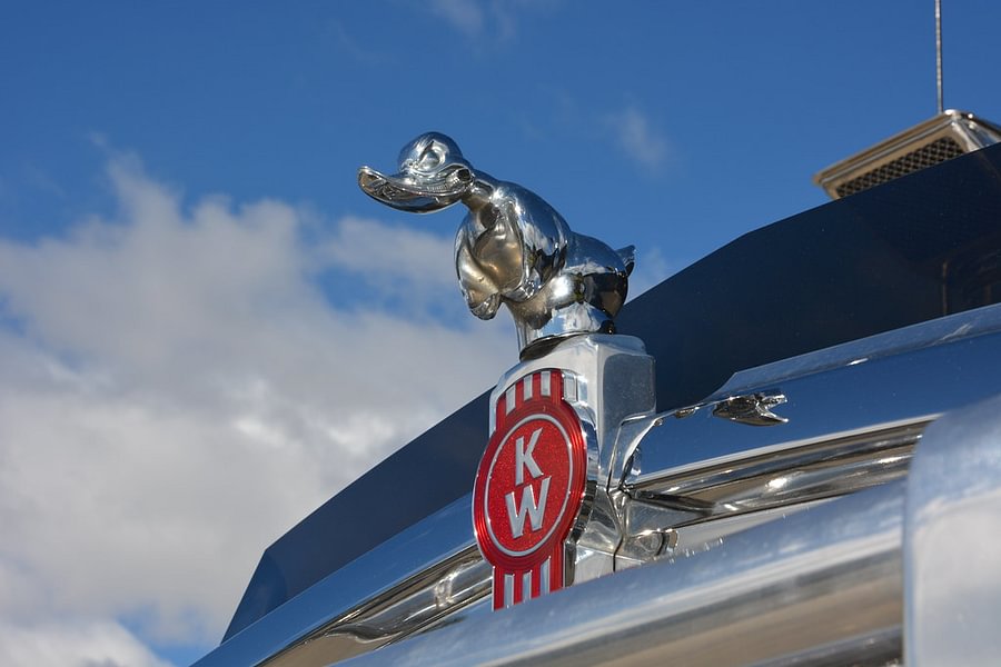 Angry Rubber Duck Hood Ornament – Mebior