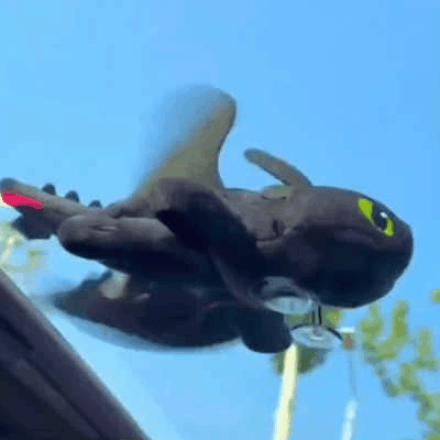 Toothless & Light Fury on Car/Moto – Tegooe