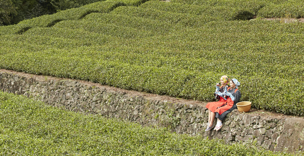 How to drink tea and the three realms of drinking tea!