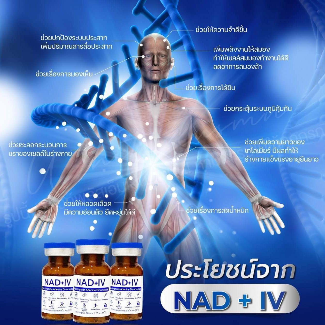 起底泰国目前两款最火NAD+产品infiNADi NAD+和NAD+IV By Alive Nature