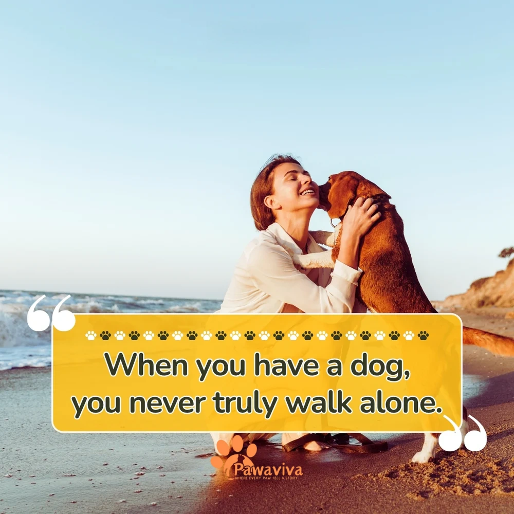Dog Best Friend Quotes That Will Touch Your Heart